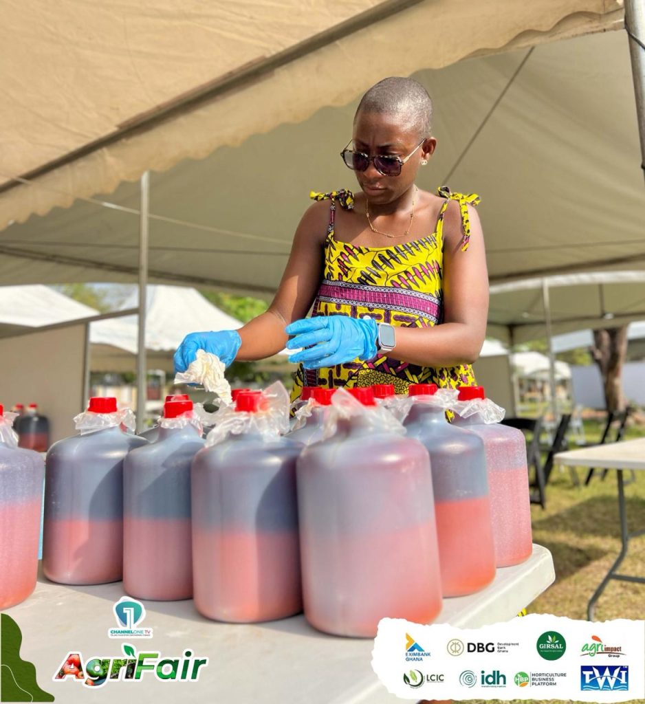 AgriFair 2025 in full swing at Efua Sutherland Children’s Park - Ghana ...